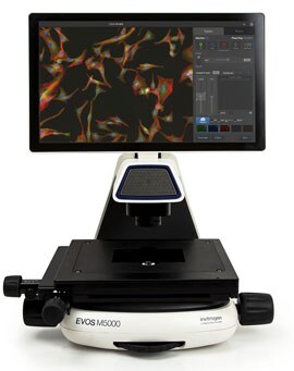 EVOS M5000 Imaging System | Thermo Fisher Scientific - CN
