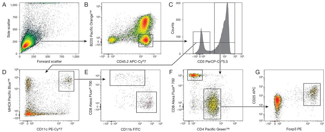 Sample Data for the Attune NxT Flow Cytometer | Thermo Fisher ...