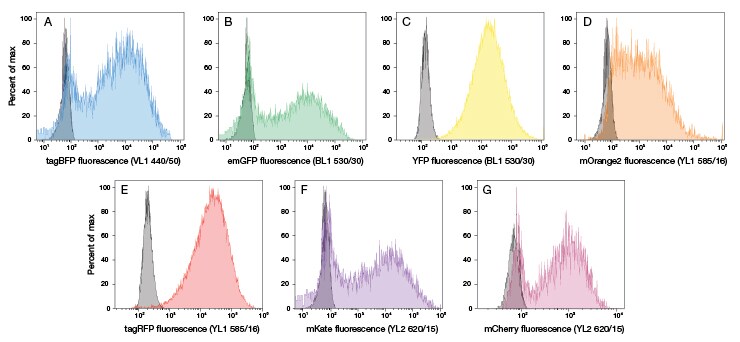 Sample Data for the Attune NxT Flow Cytometer | Thermo Fisher ...