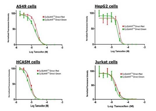 CyQUANT Cell Proliferation Assays | Thermo Fisher Scientific - CN