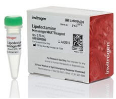 Lipofectamine MessengerMAX | Thermo Fisher Scientific - CN