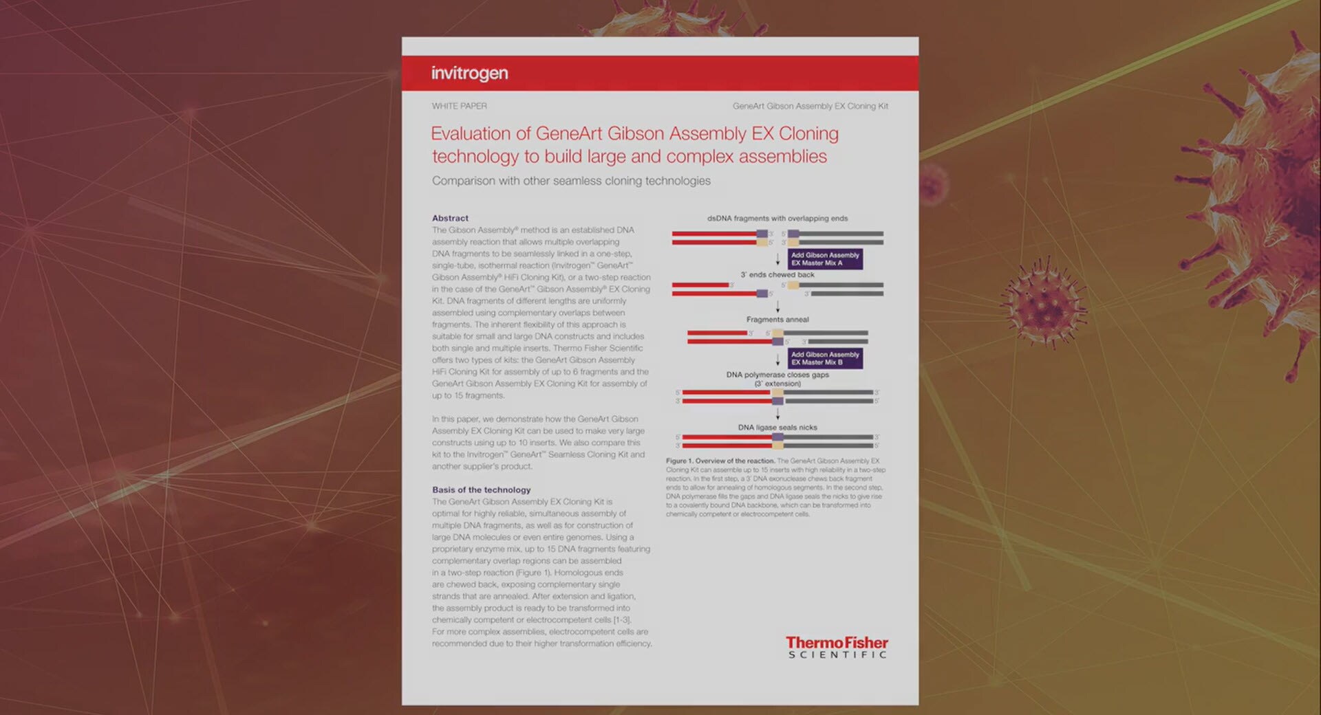 GeneArt Gibson Assembly Cloning | Thermo Fisher Scientific - CN