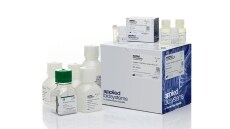 DNA and RNA Extraction and Analysis | Thermo Fisher Scientific - CN