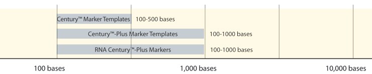 Century Markers | Thermo Fisher Scientific - CN