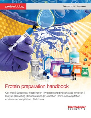 GST-tagged Proteins–Production and Purification | Thermo Fisher ...