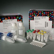 Mammalian Cell-Free Protein Expression | Thermo Fisher Scientific - CN