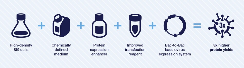 ExpiSf Baculovirus Expression System | Thermo Fisher Scientific - CN