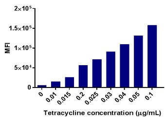 Expi293 Expression System | Thermo Fisher Scientific - CN