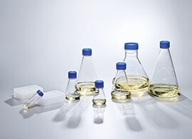 ExpiCHO Expression System | Thermo Fisher Scientific - CN