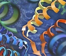 Yeast Protein Expression | Thermo Fisher Scientific - CN