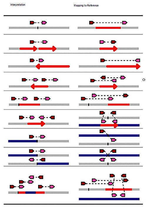 Whole Genome Sequencing by SOLiD® Next-Generation Sequencing | Thermo ...