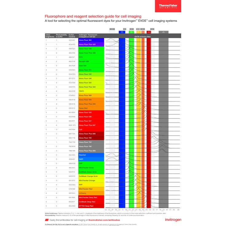 Alexa Fluor 647 Dye | Thermo Fisher Scientific - CN