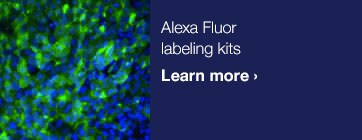 Protein Concentrators | Thermo Fisher Scientific - CN