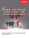 Protein Gels | Thermo Fisher Scientific - CN