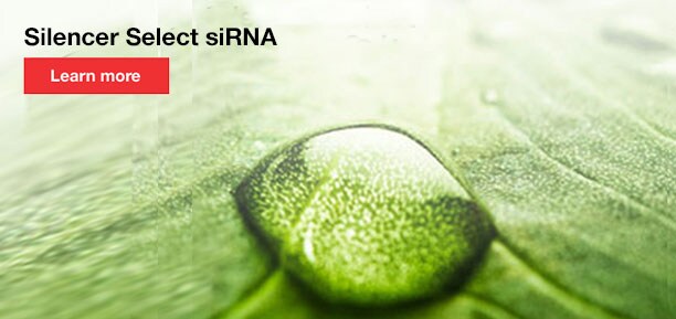 RNAi | 赛默飞 | Thermo Fisher Scientific - CN