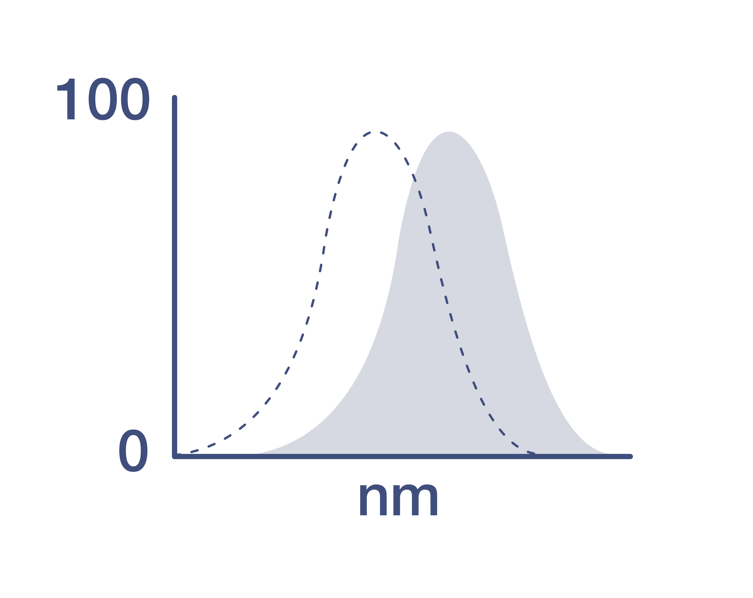 Phospho-CREB (Ser133) Antibody, PE (MA5-36990)