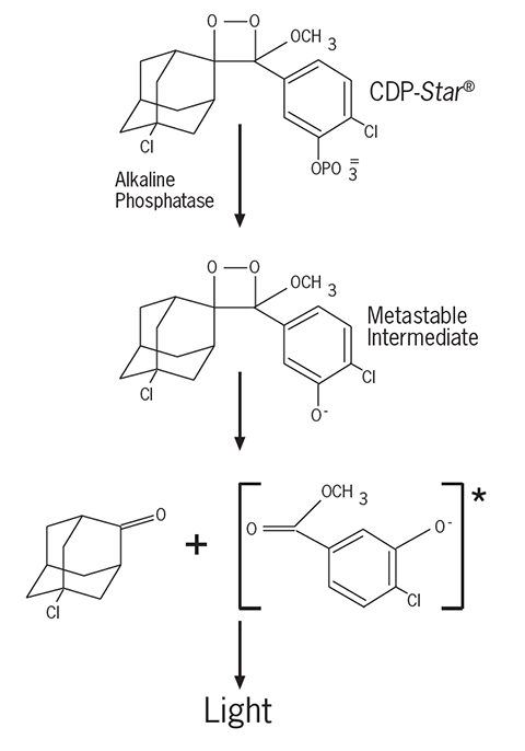 Tropix Chemiluminescent Substrates for OEM Supply | Thermo Fisher ...