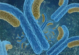 Invitrogen | Thermo Fisher Scientific - CN