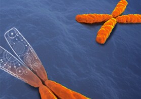 Invitrogen | Thermo Fisher Scientific - CN