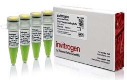 分子生物学技术 | Thermo Fisher Scientific - CN