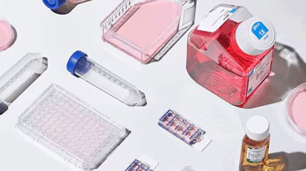 Life Technologies品牌产品-赛默飞 | Thermo Fisher Scientific - CN