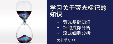 分子探针试剂与染料 - Molecular Probes™-赛默飞 | Thermo Fisher Scientific - CN