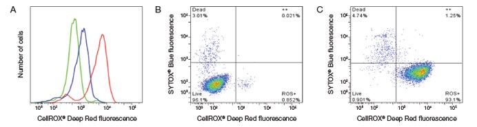 CellROX™ 试剂和试剂盒 | Thermo Fisher Scientific - CN