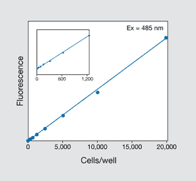 CyQUANT细胞增殖检测试剂盒-赛默飞 | Thermo Fisher Scientific - CN