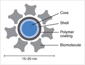 Qdot Probes Technology Overview | Thermo Fisher Scientific - CN