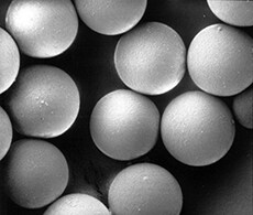 Dynabeads 磁珠分离产品和技术 | Thermo Fisher Scientific - CN