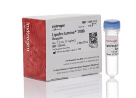 Lipofectamine 2000 | Thermo Fisher Scientific - CN