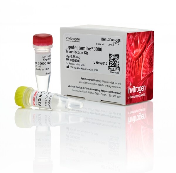 Lipofectamine 2000 | Thermo Fisher Scientific - CN