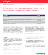 Lipofectamine 转染试剂 | Thermo Fisher Scientific - CN