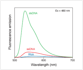 Quant-iT 试剂与试剂盒（适用于 >2,000 个样品） | Thermo Fisher Scientific - CN
