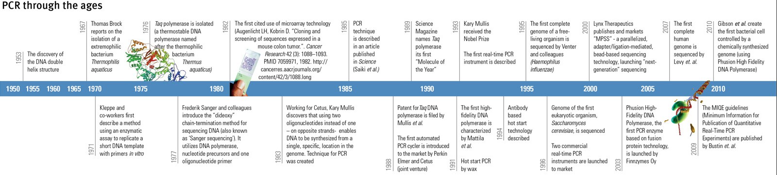 The History of PCR | Thermo Fisher Scientific - CN