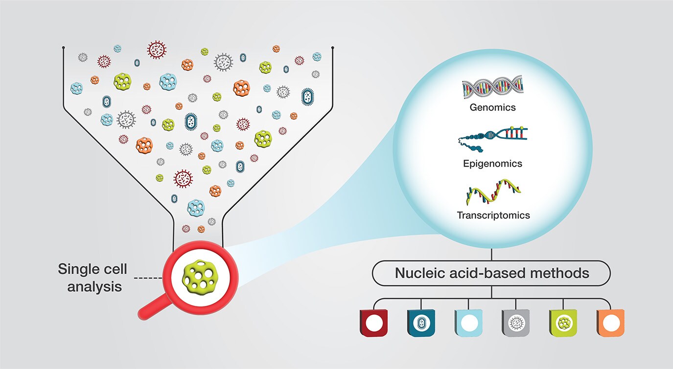 Molecular Biology for Single-Cell Analysis | Thermo Fisher Scientific - CN
