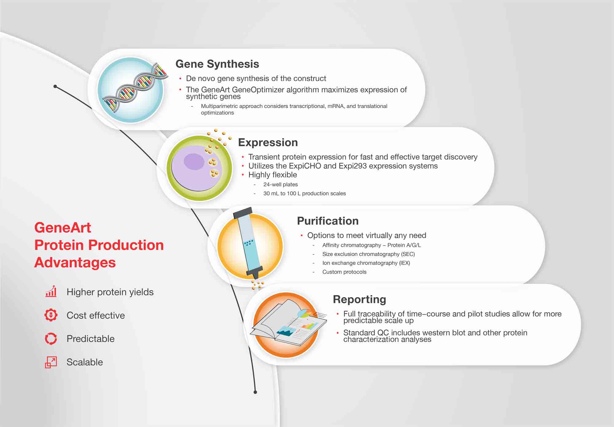 Expedited Workflows for Novel Antibody Discovery | Thermo Fisher ...