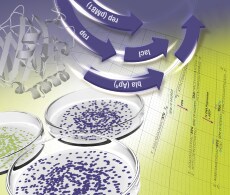 aLICator LIC Cloning & Expression System | Thermo Fisher Scientific - CN