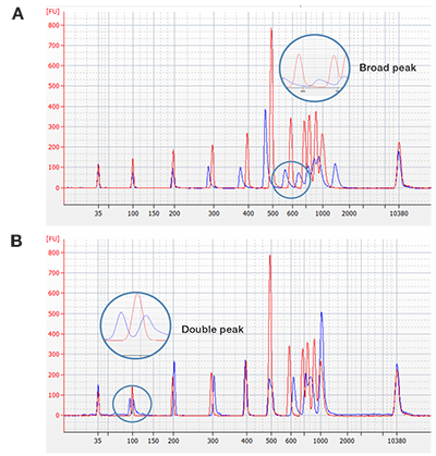 GeneRulerDNA分子量标准-DNA Marker-DNA Ladder-赛默飞 | Thermo Fisher Scientific - CN