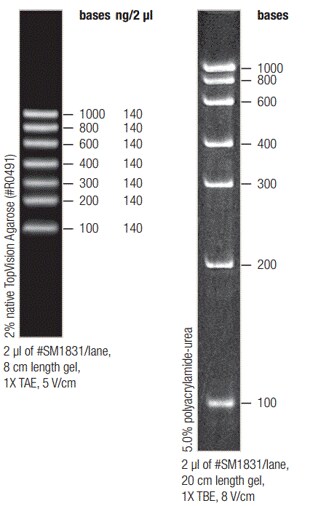 RNA分子量标准-测序凝胶电泳RNA条带分析-赛默飞 | Thermo Fisher Scientific - CN