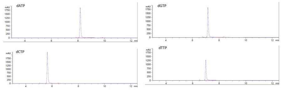 dNTP、NTP 和修饰核苷酸 | Thermo Fisher Scientific - CN