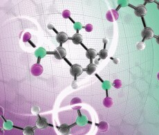 dNTP、NTP 和修饰核苷酸 | Thermo Fisher Scientific - CN