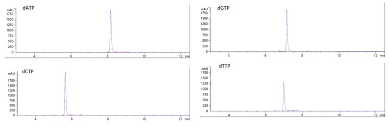 dNTP、NTP 和修饰核苷酸 | Thermo Fisher Scientific - CN