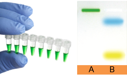 Phire Hot Start II DNA Polymerase for Fast PCR | Thermo Fisher ...