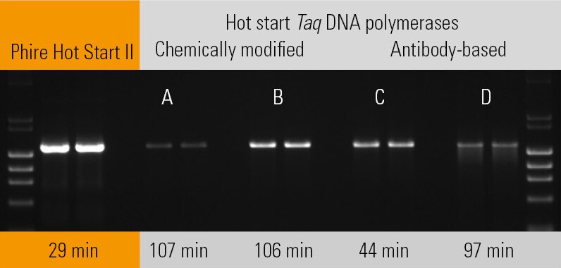 Phire Hot Start II DNA Polymerase for Fast PCR | Thermo Fisher ...