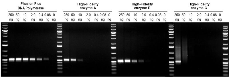 Phusion Plus DNA Polymerase | Thermo Fisher Scientific - CN