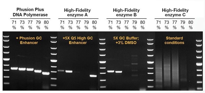 Phusion Plus 高保真 DNA聚合酶-赛默飞 | Thermo Fisher Scientific - CN