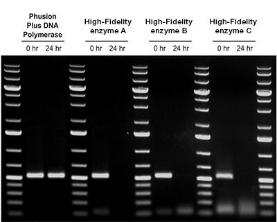 Phusion Plus 高保真 DNA聚合酶-赛默飞 | Thermo Fisher Scientific - CN