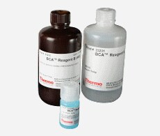 Pierce蛋白质生物学 | Thermo Fisher Scientific - CN