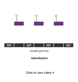 CISH | Thermo Fisher Scientific - CN